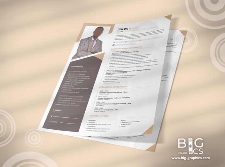 CV pour un Auditeur Comptable - Big Graphics